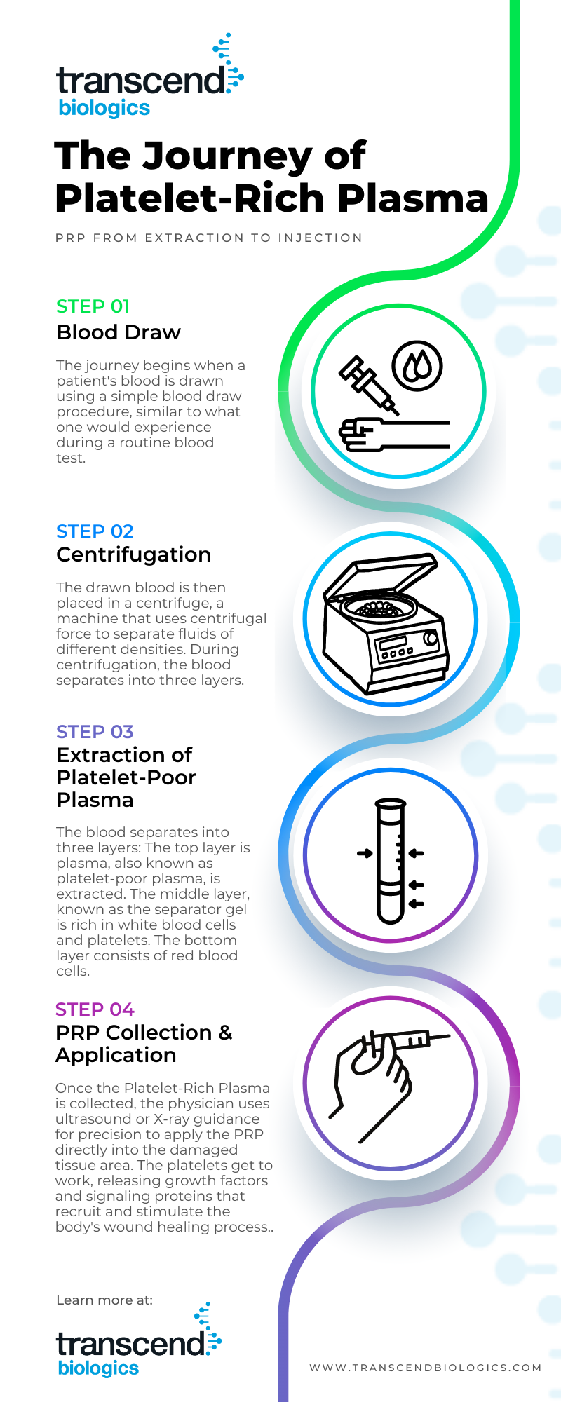 The Journey of a Platelet: From Extraction to Injection in PRP ...