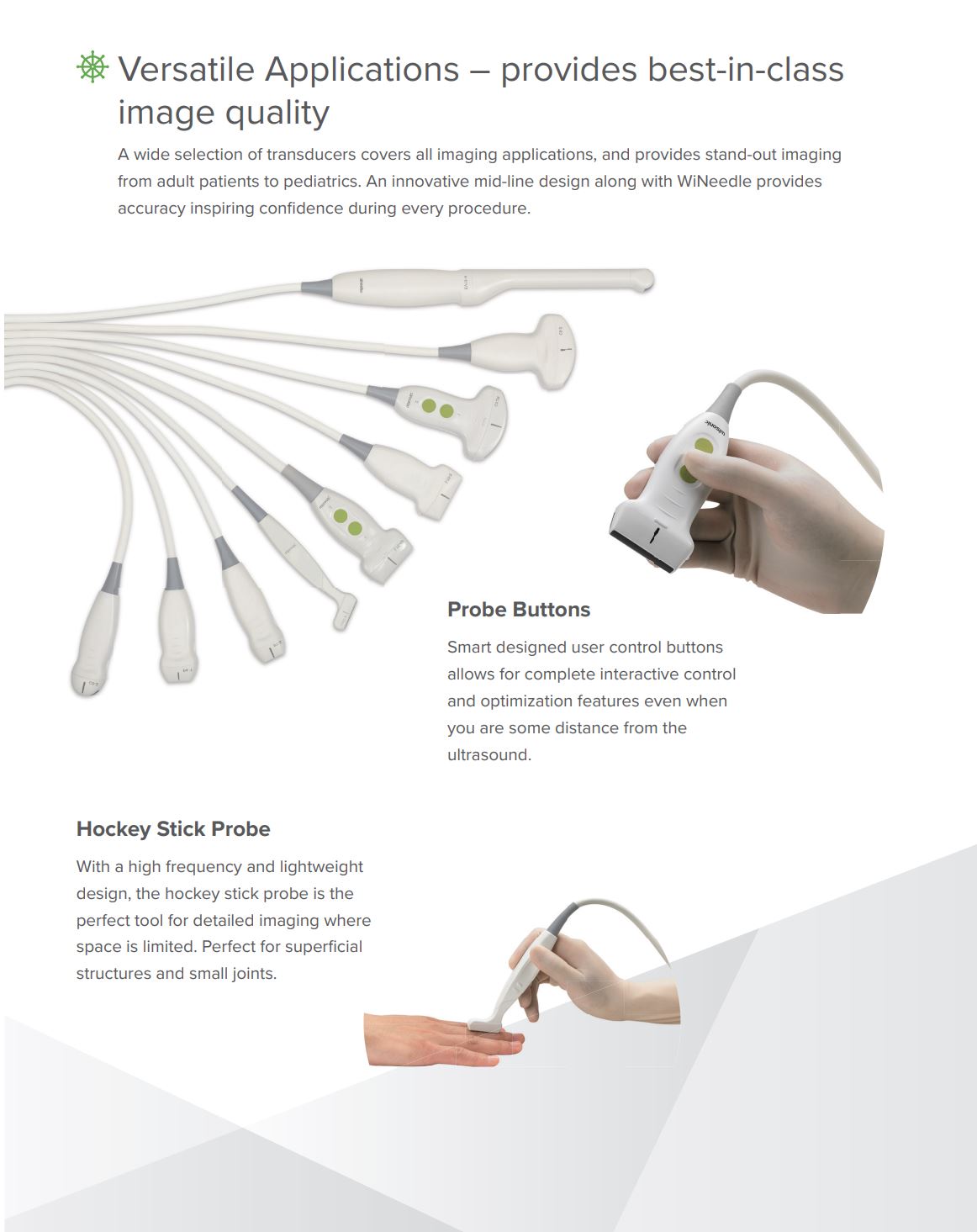 Ultrasound - Piloter - Transcend Biologics